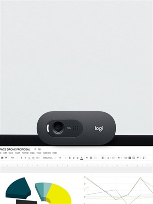 Logitech C505e | Webcam
