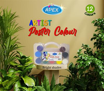 Apex A-1248PC Artist 12 Poster Colour Set